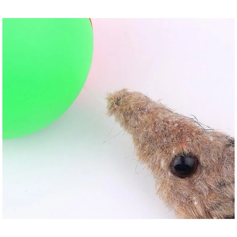 Interaktyvus žaislas katėms „Weasel Ball“